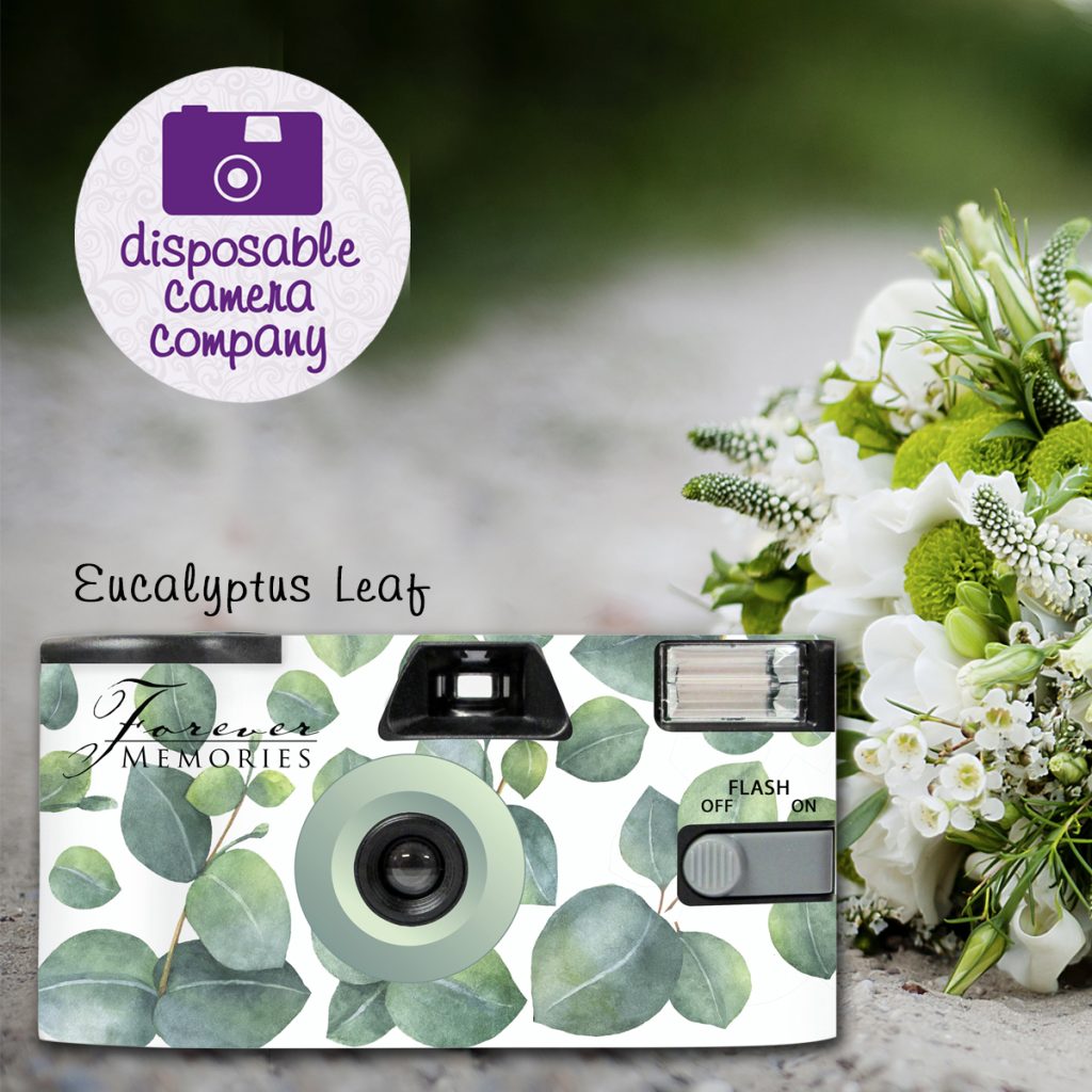 Eucalyptus Leaf - Disposable Camera Company